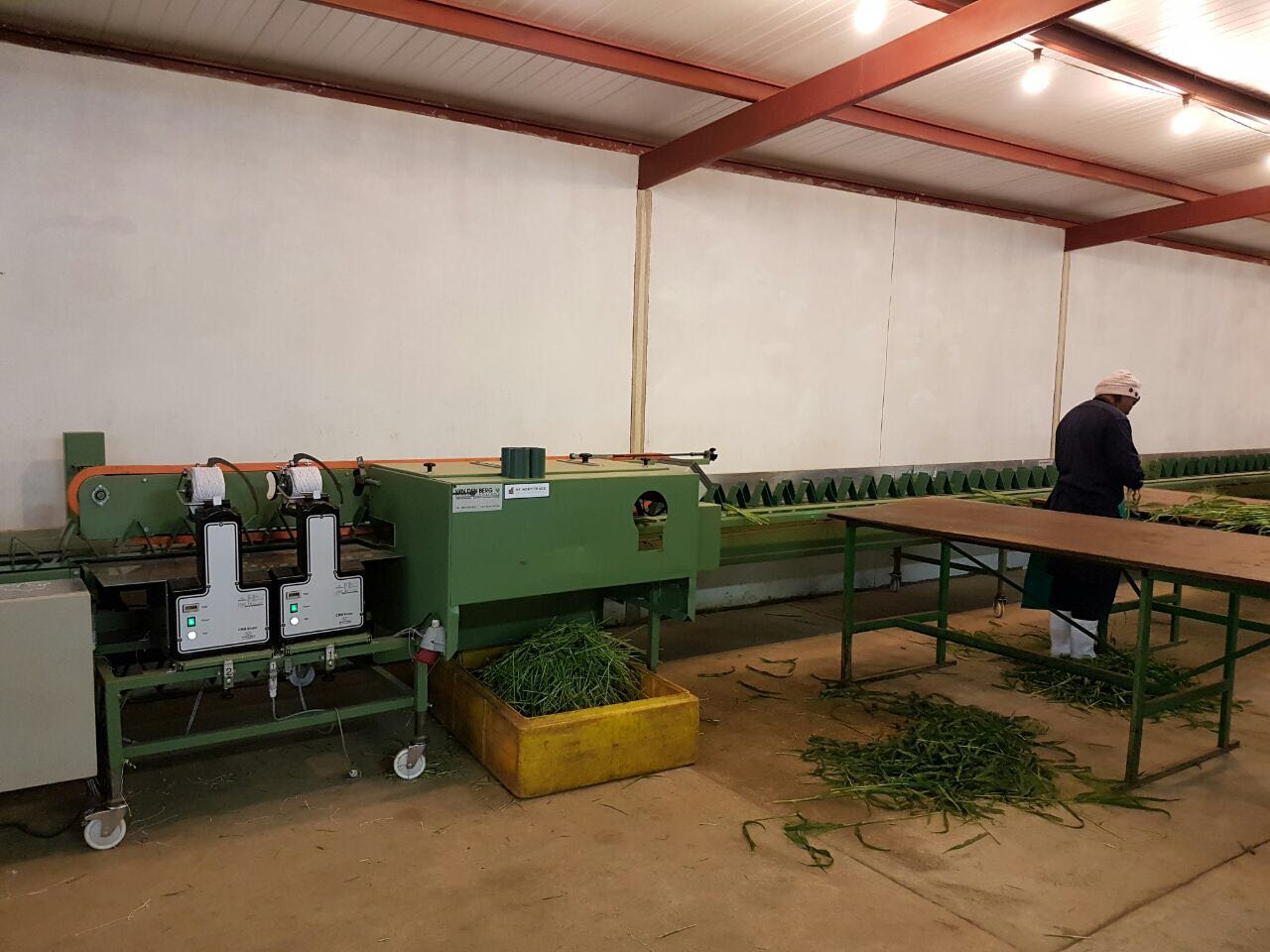 Flower processing machine nursery South Africa - DS Hortitrade