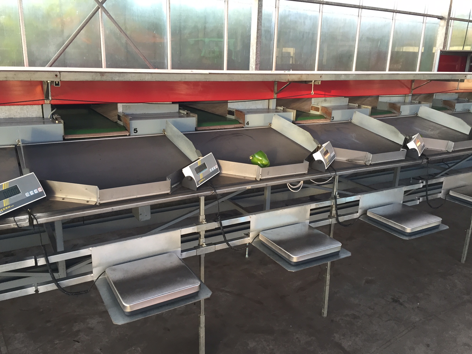 Pepper sorting machine Aweta G3-8 - DS Hortitrade